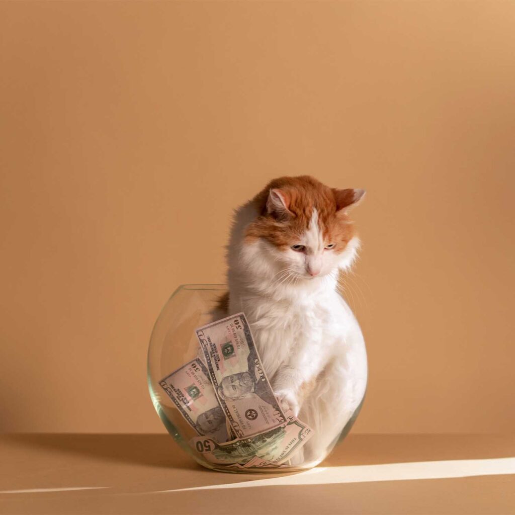 How to manage pet ownership costs - PureLUXE Pet Food | Natural ...